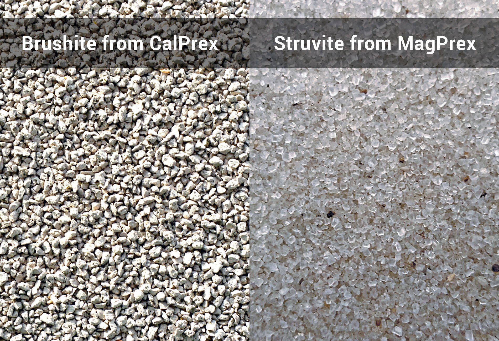 Recover Over 50% of Phosphorus with CalPrex® & MagPrex™ | CNP