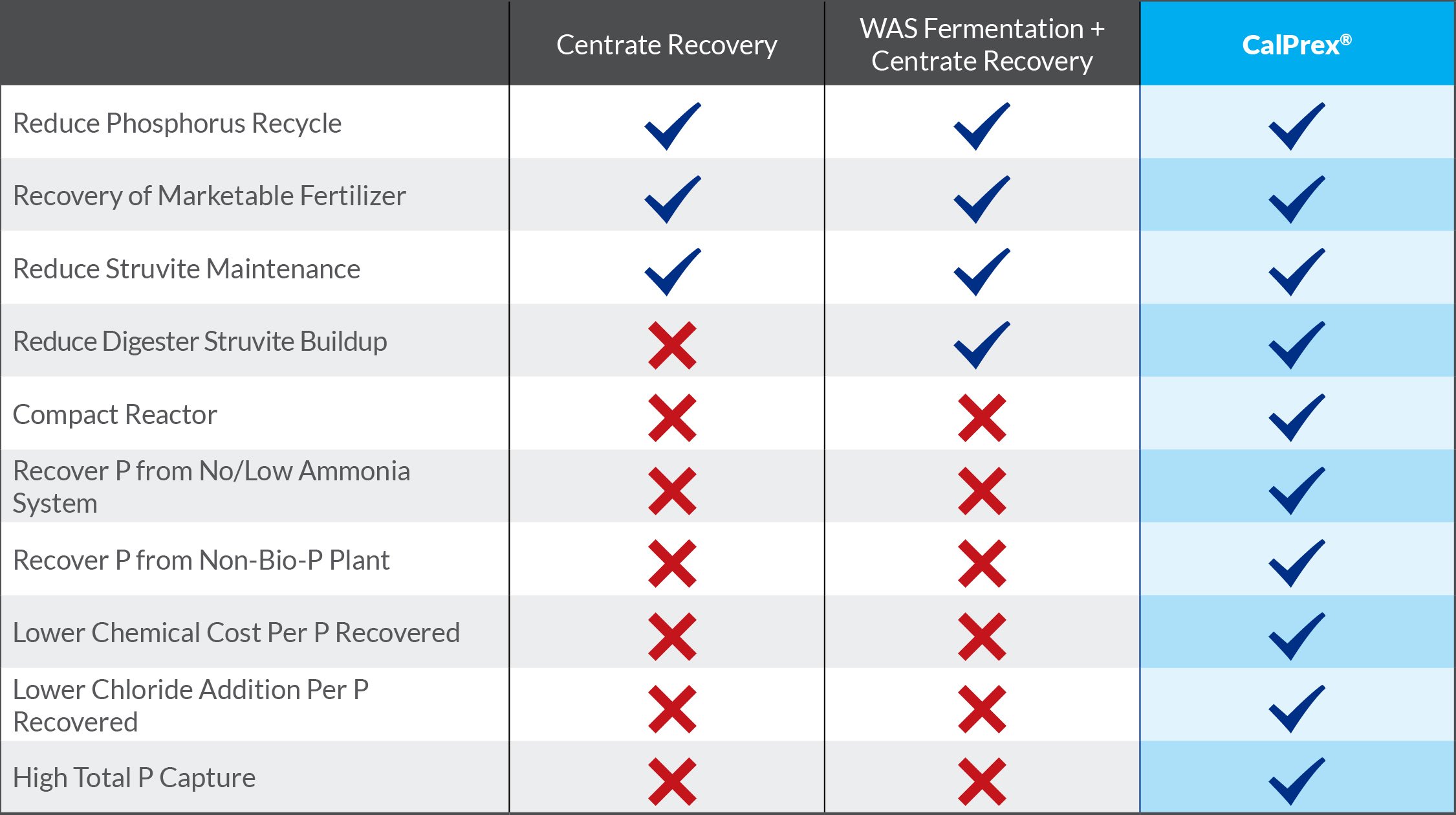 CNP Process: CalPrex®