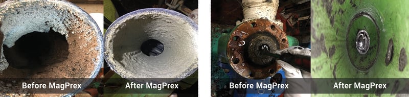 MagPrex™: Q&A with Gerhard Forstner
